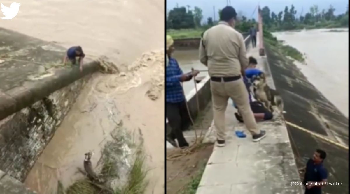 Video of man rescuing stranded dog goes viral, online users shower him ...