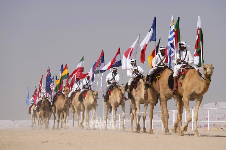 Camel pageant is among World Cup’s sidelines attractions | Life-style ...