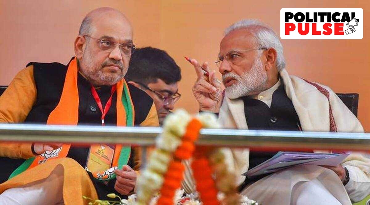 Vote For Narendra Modi Meghna Patel