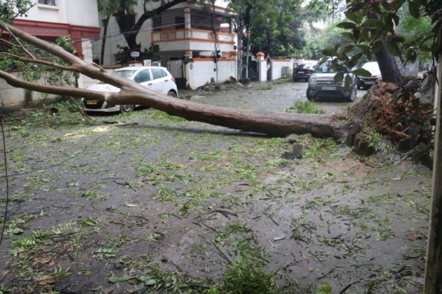 Cyclone Mandous: Heavy showers, trees uprooted as cyclone makes ...