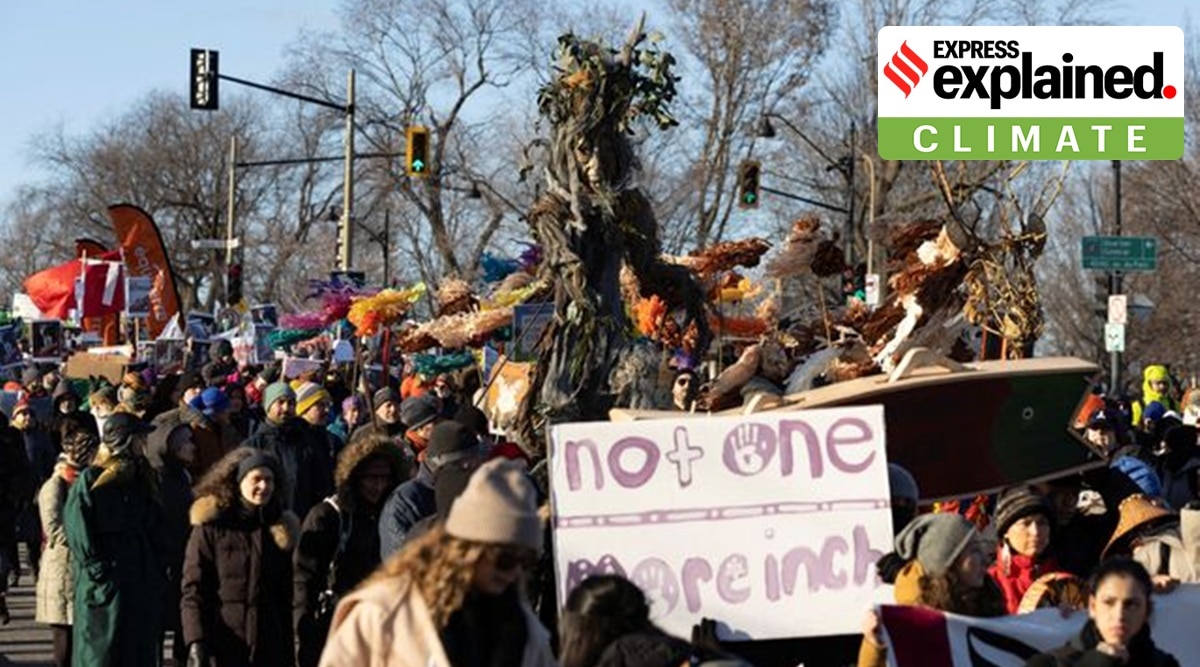 How different sectors, industries, contribute to pollution