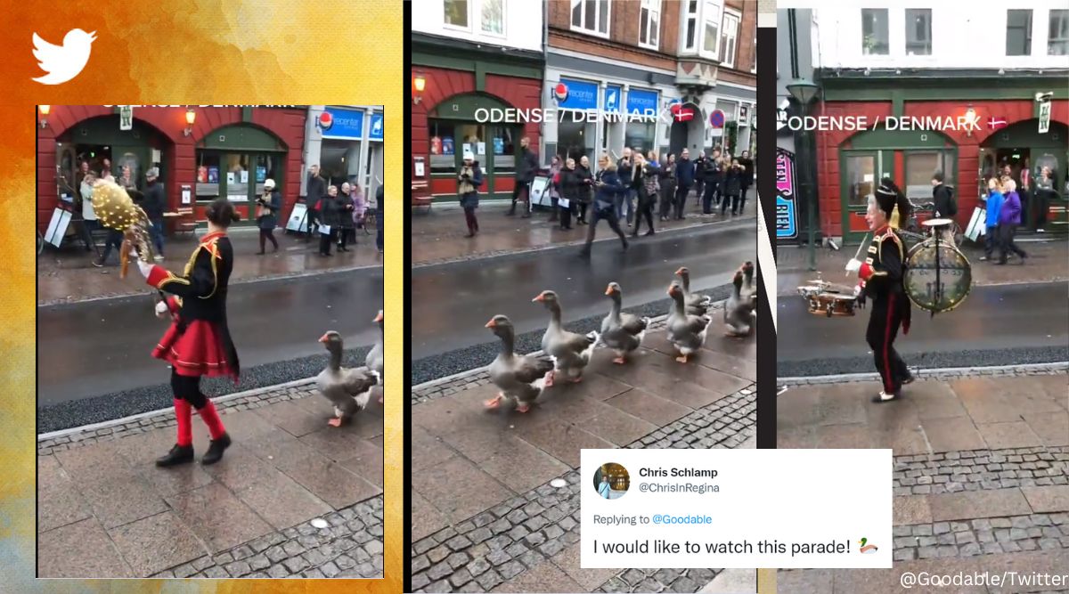 ‘What a great gift to brighten the day’: Goose parade in Denmark leaves ...