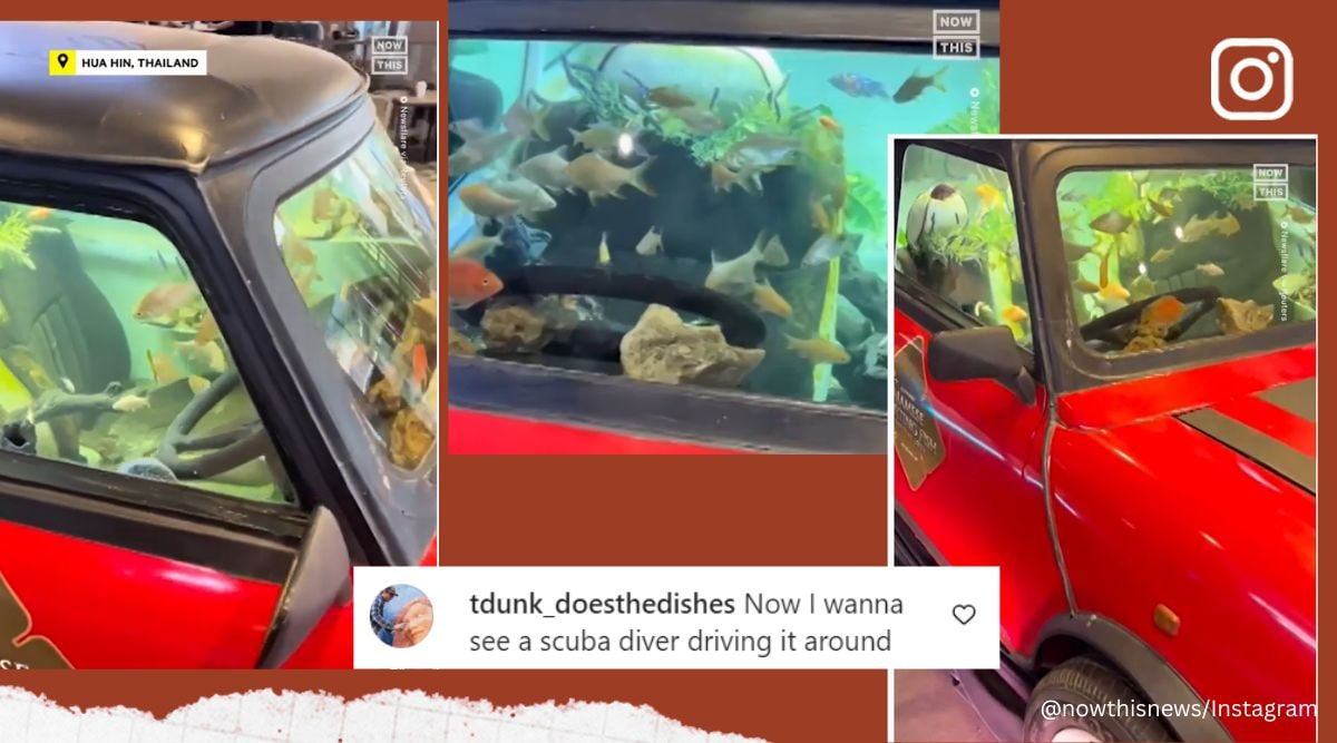‘Aquarium in a car’: Old Mini Cooper transformed for fish to swim with ...