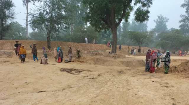 Coming up in Barnala, first man-made wetland of Punjab | Ludhiana News ...