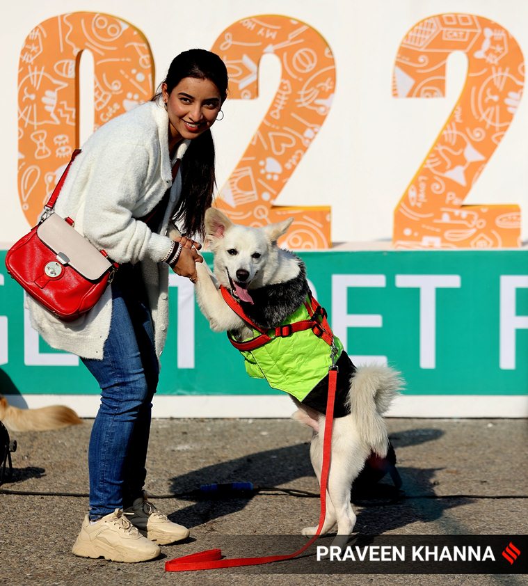 Who let the dogs out? 2-day pet fest opens in Delhi | Delhi News - The ...