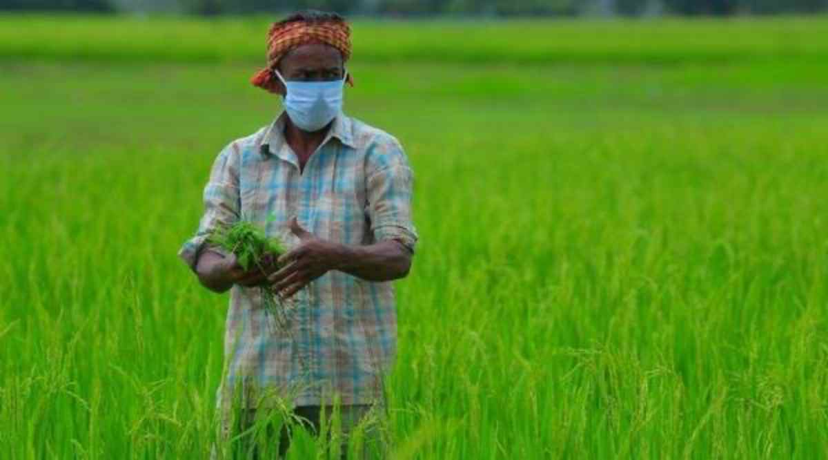 Centres of excellence to help farmers increase their incomes, says ...