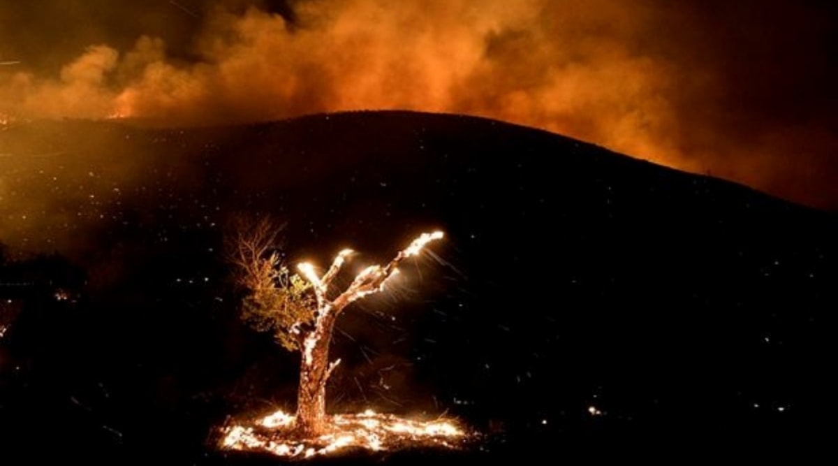 The most striking images of 2022 | World News News - The Indian Express