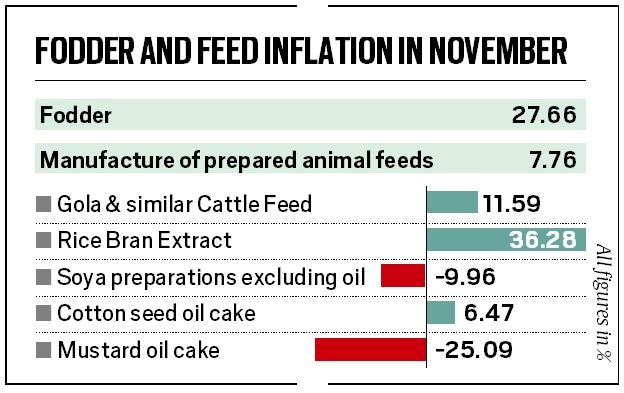 Fodder inflation rises to 27.66% in November | India News - The Indian ...
