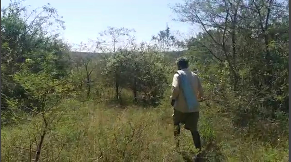Leopards now spotted in Chinnakurchi, forest officials blame ...
