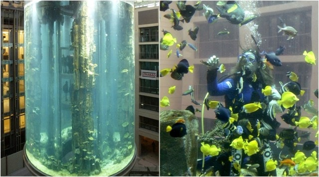 Huge Berlin aquarium, housing 1,500 tropical fish, bursts | World News ...