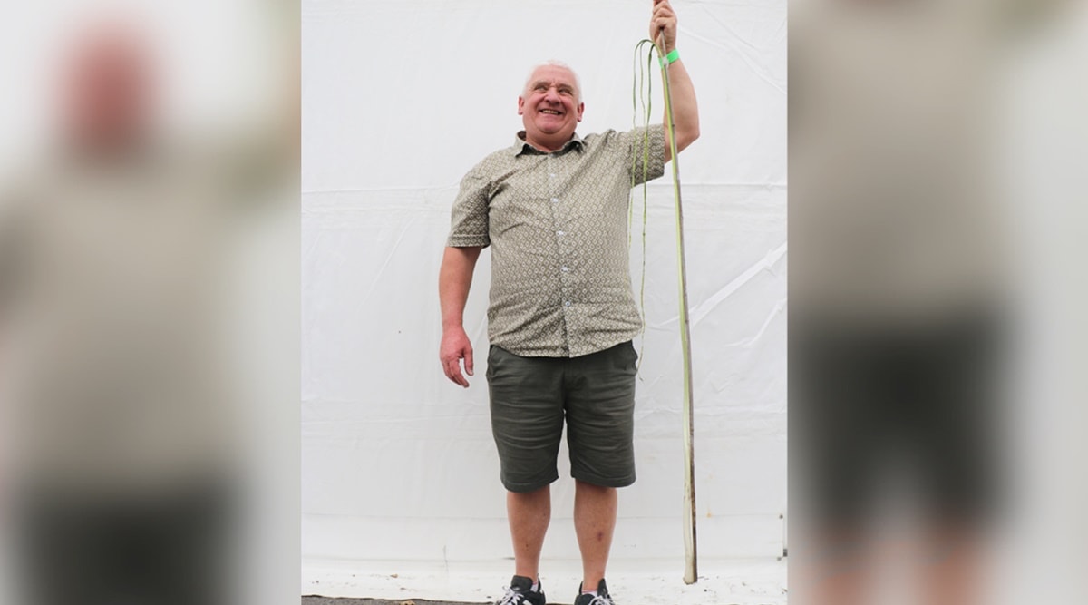 Guinness alert: This is the longest leek vegetable in the world | Life ...