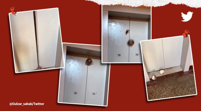 Watch: This hack breaks a coconut using a lift | Trending News - The ...