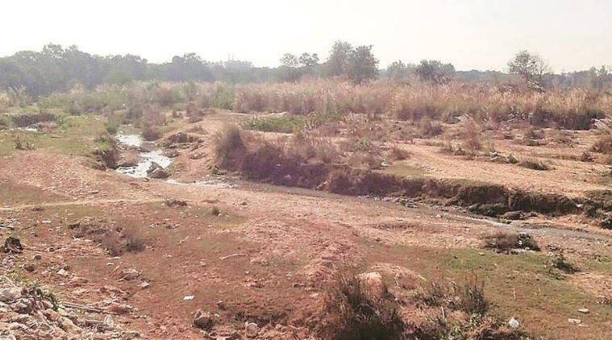 Chandigarh’s first green corridors to come up along Patiala Ki Rao, N ...