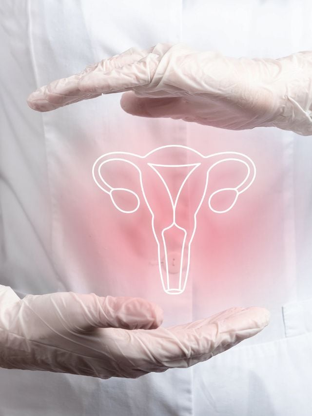 Where is cervix located and why does it get cancerous | The Indian Express