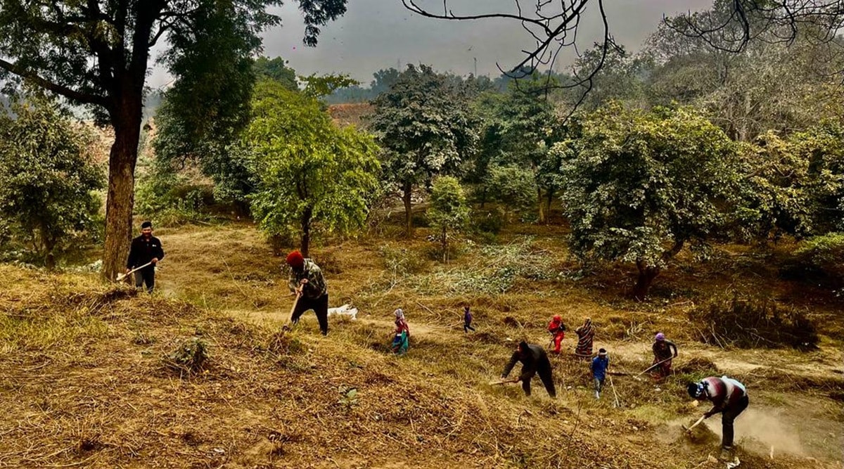2,500 years in layers: Purana Qila prepares history walk for G20 guests ...