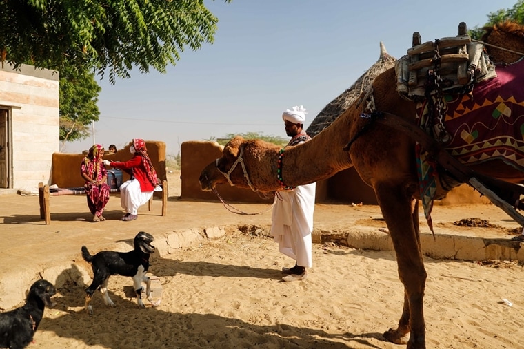 Camel carts, puppets, vaccine songs: Taking the Covid shot to the ...
