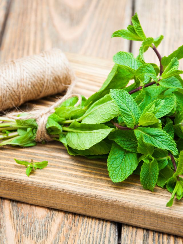 Benefits of mint | The Indian Express