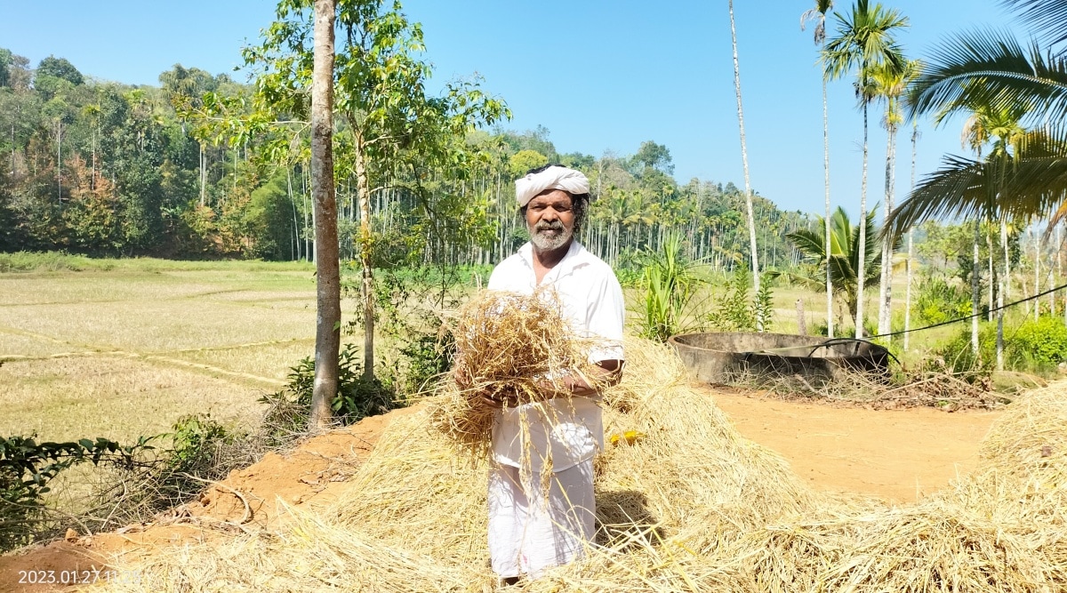 ‘Don’t know what Padma award means’: Preserver of indigenous rice ...