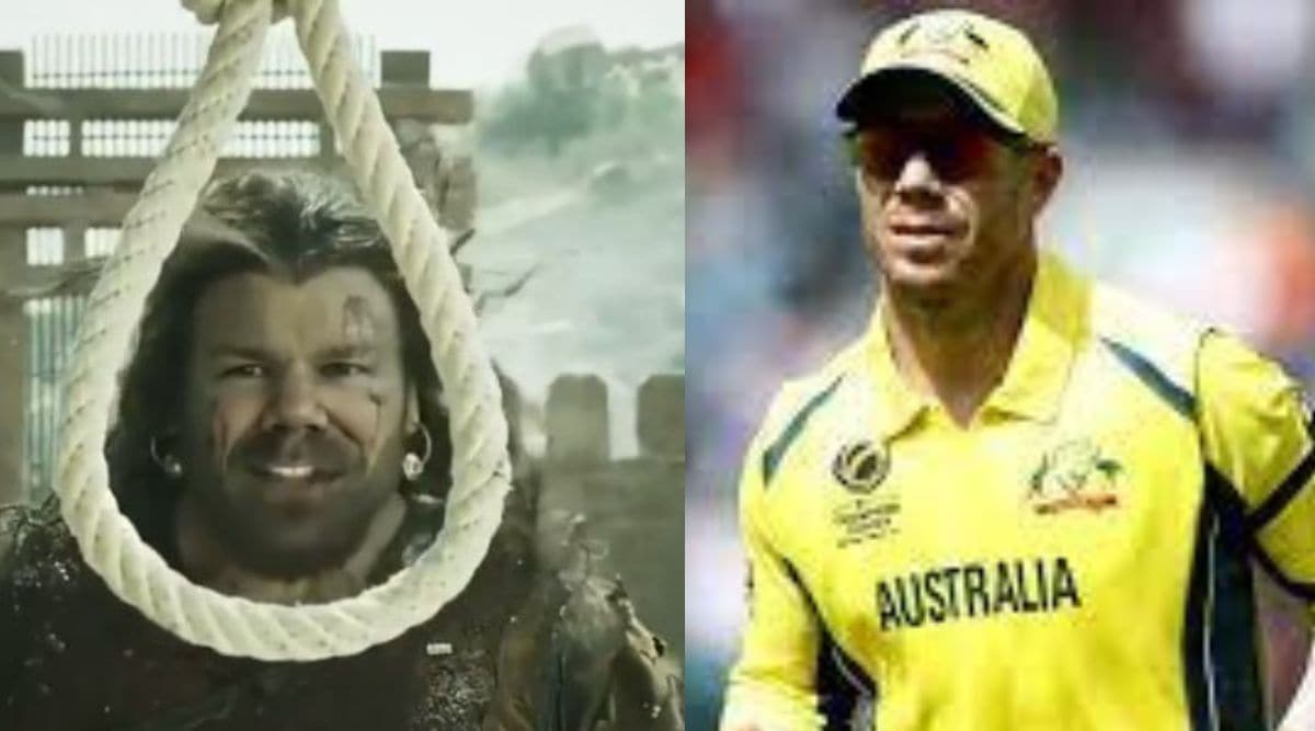 Netflix suggests David Warner should act in Telugu movies post ...