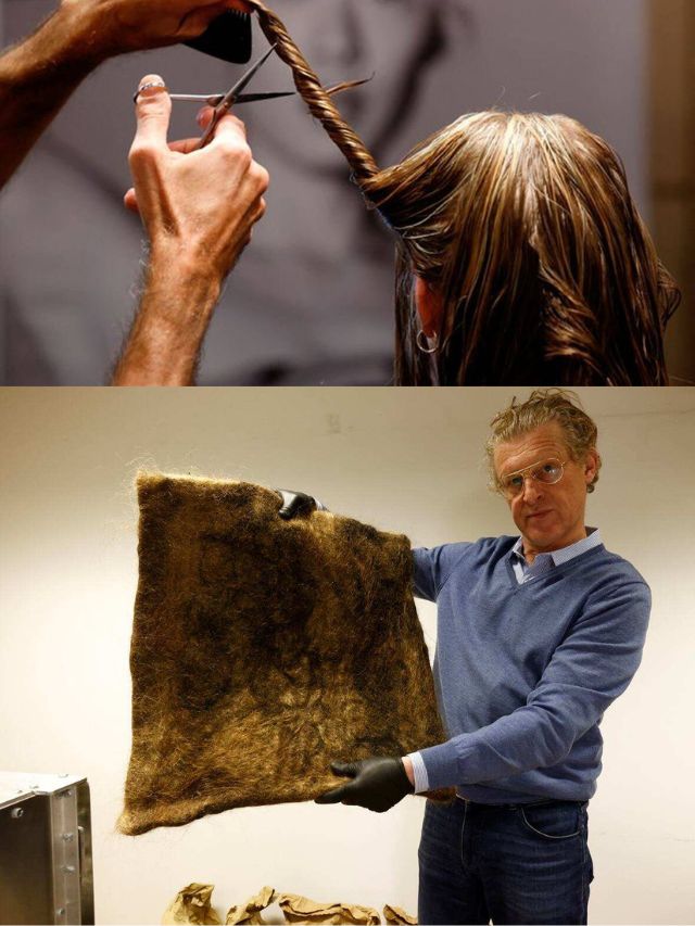 Human hair recycled in Belgium to protect the environment | The Indian ...