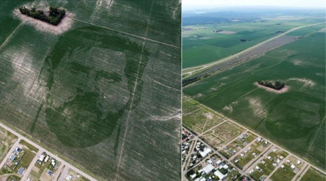 Argentine farmer grows 124-acre image of Lionel Messi to celebrate ...