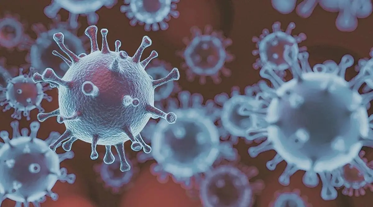 Structure of ‘live’ virus successfully reconstructed, could help reduce ...