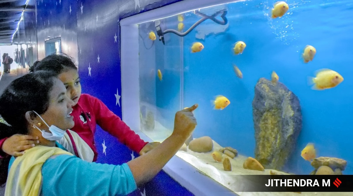 In pictures: The Sea Tunnel Aquarium in Bengaluru offers stunning 360 ...