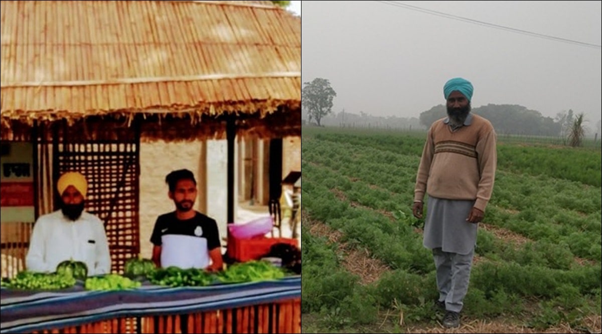 Barnala farmers go organic, grow 40 crops in 4 acres & haven’t come a ...