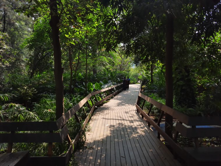 Campus Talk: Art installations by Rachana Sansad students greet ...