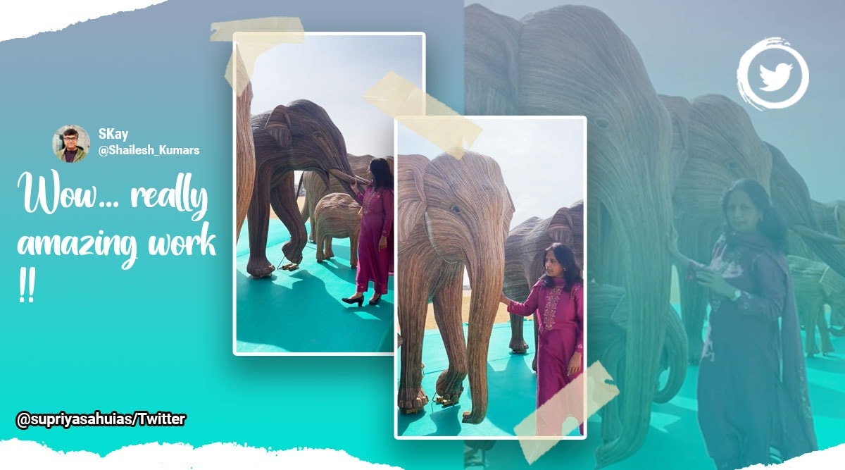 ‘Truly Inspiring’: Tribals in Tamil Nadu make elephant models out of ...