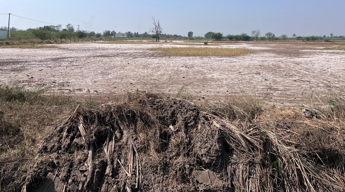 Over-irrigation of land spells doom for Maharashtra farmers | Pune News ...