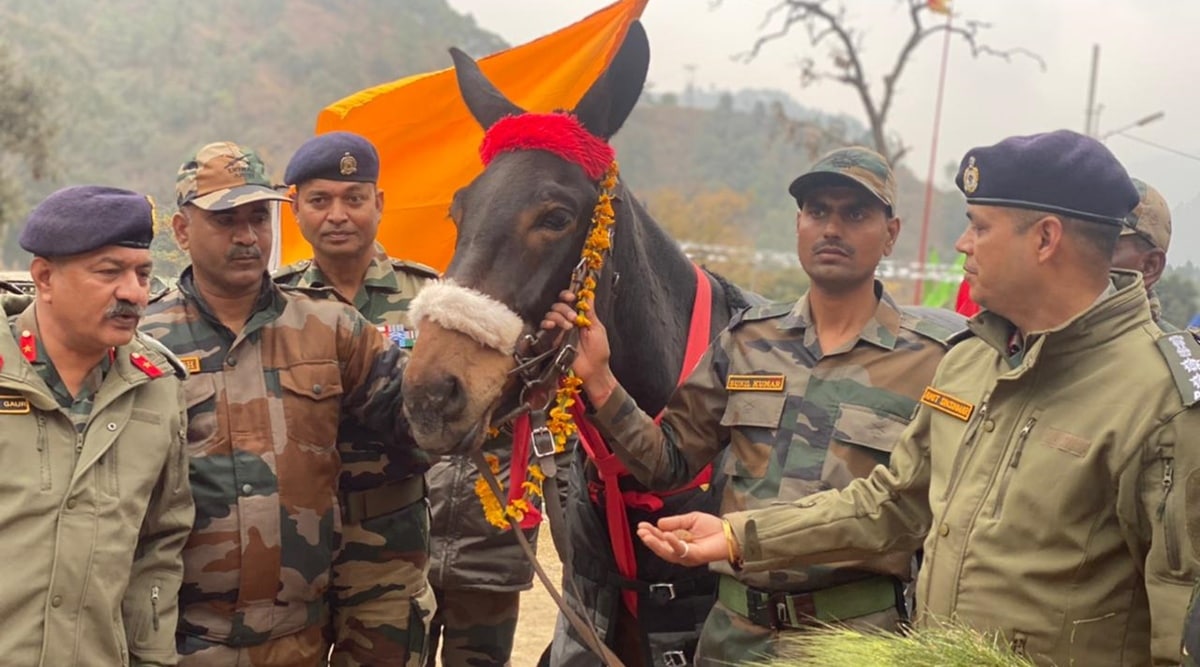Army honours mule for service in Tawang | India News - The Indian Express