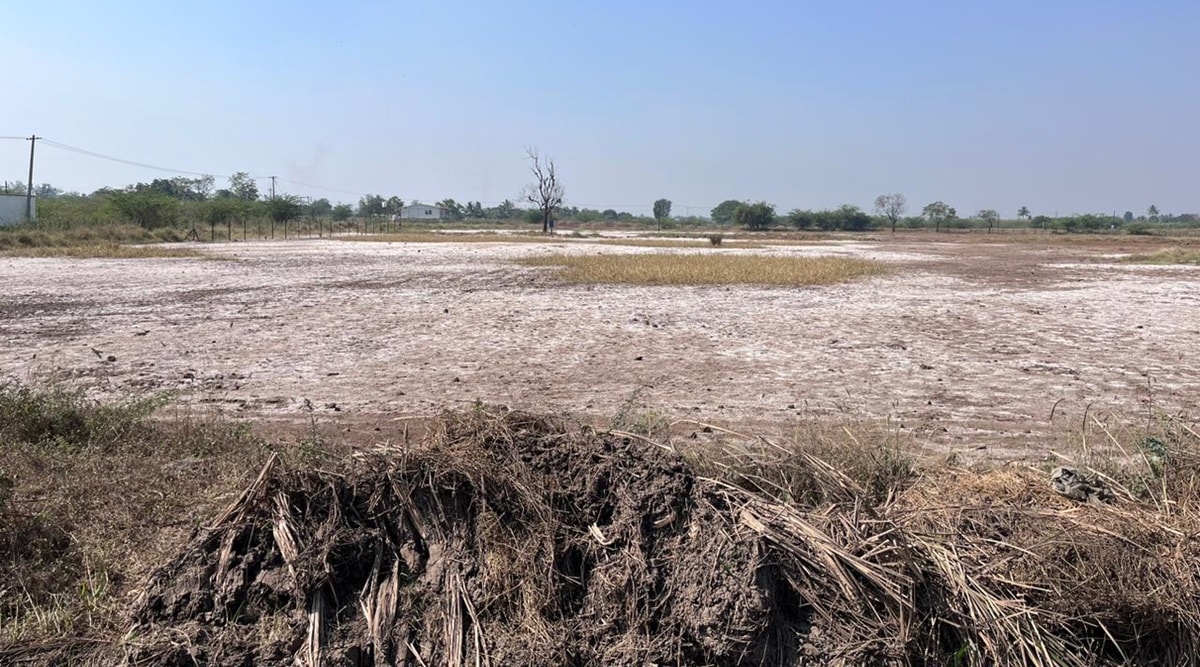 Over-irrigation of land spells doom for Maharashtra farmers | Pune News ...