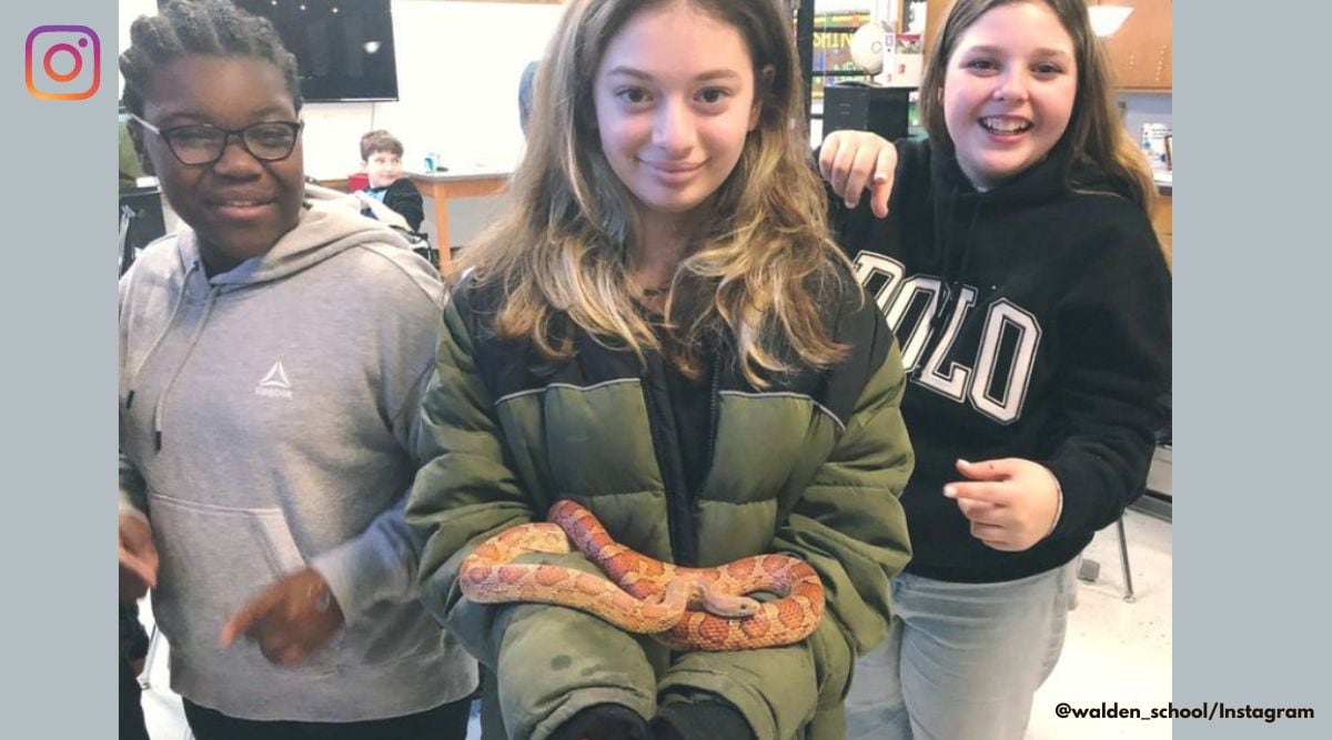Escaped school snake found three months later by sixth grader ...