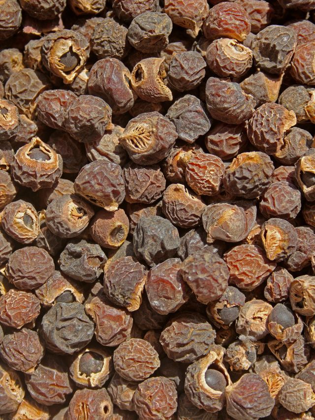 Benefits of reetha for hair | The Indian Express