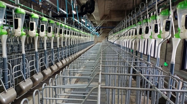 China’s bid to improve food production? Giant towers of pigs | World ...