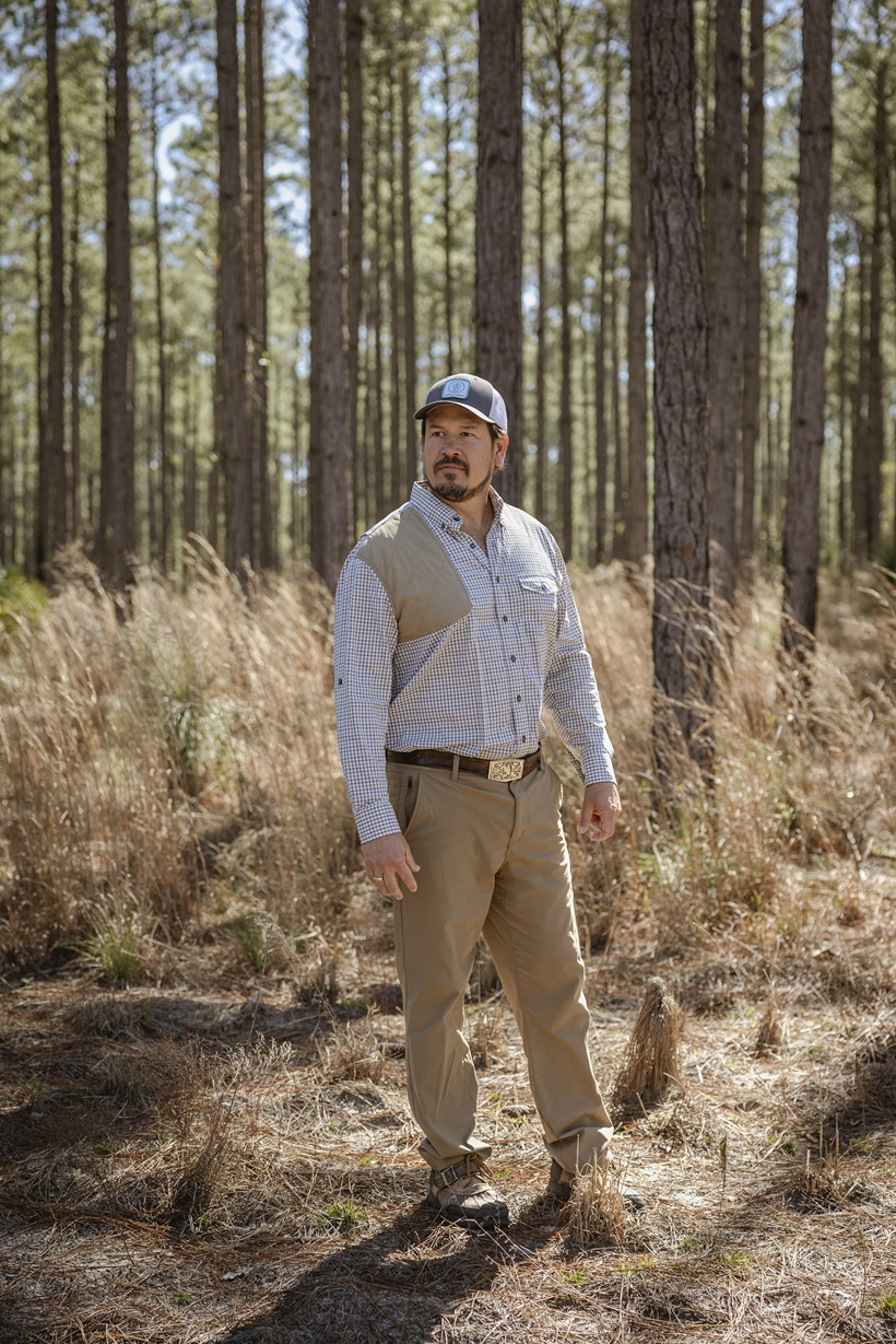 For the first time, genetically modified trees have been planted in a ...