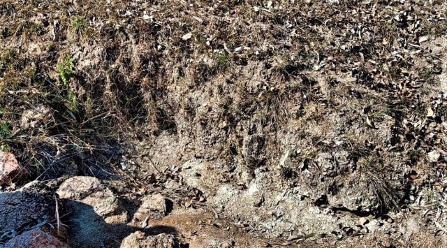 Telangana village ash mound are remains of Indonesia’s Toba ...