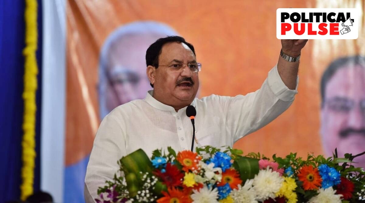 Eyeing eastern Nagaland votes, BJP announces a special package ...