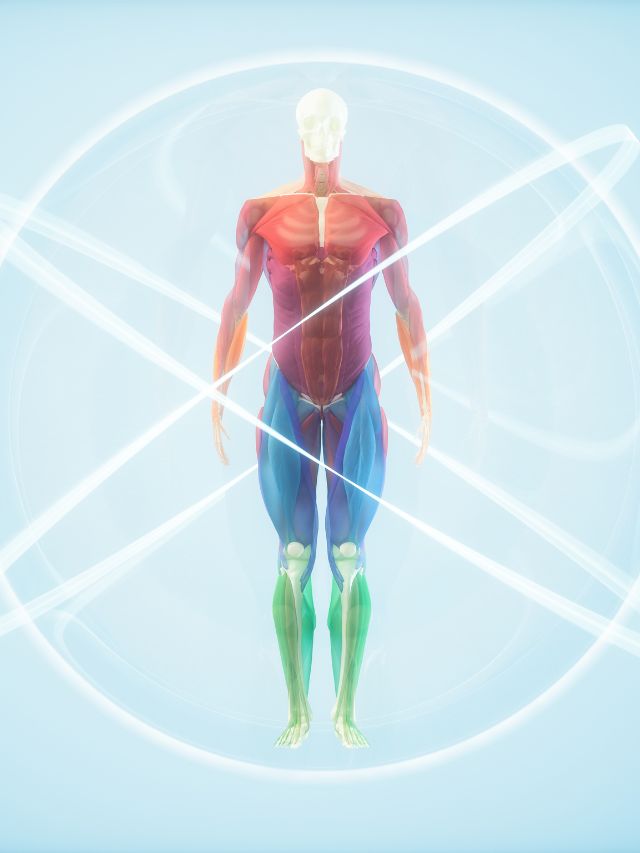 What Is Mast Cell Activation Syndrome The Indian Express