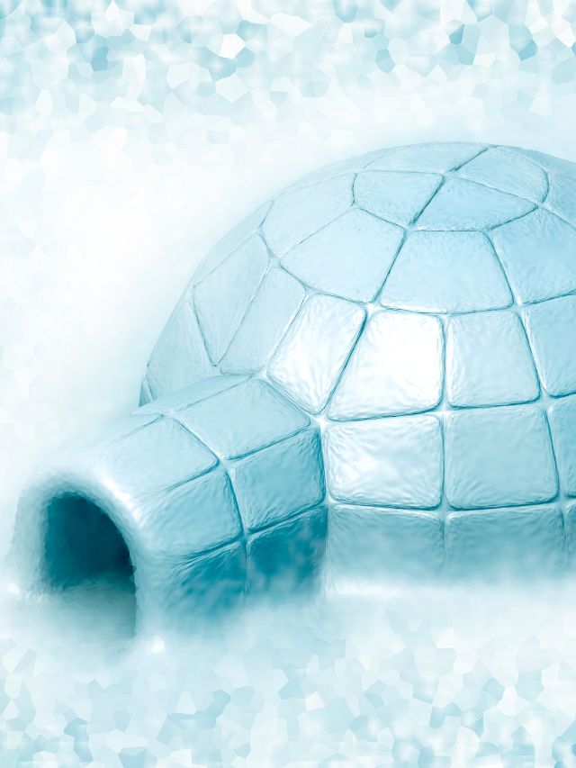 Glass igloo becomes new tourist attraction in Gulmarg | The Indian Express Glass igloo becomes new tourist attraction in Gulmarg | The Indian Express
