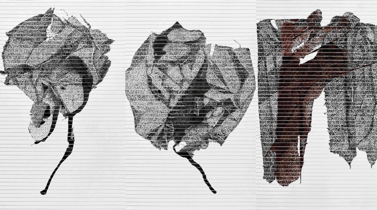 Delhi art exhibition: Line is Life – A solo exhibition of 100 works of art