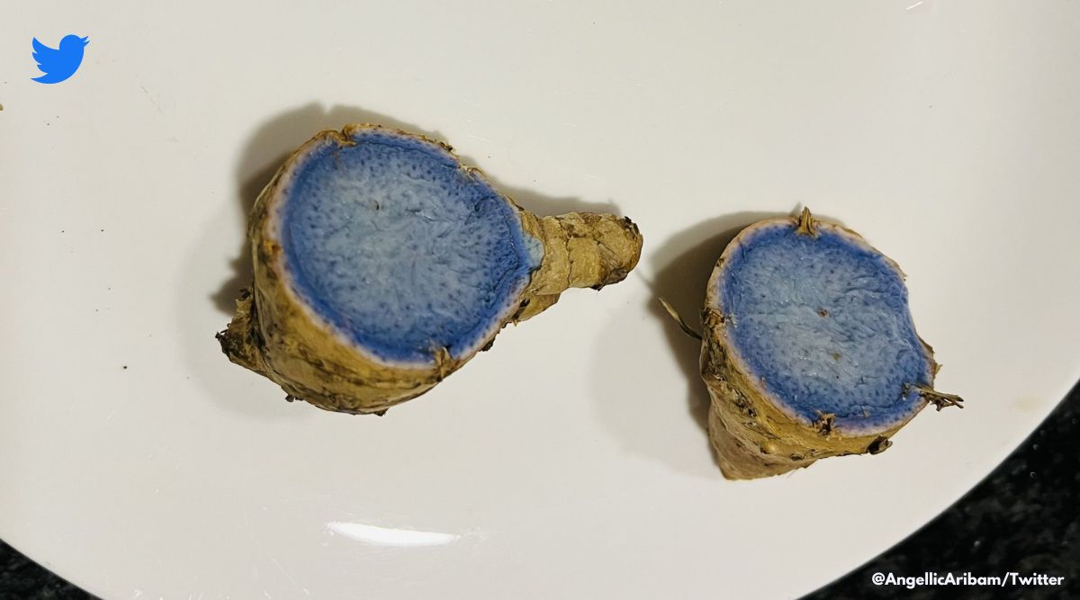 This tweet about ‘blue ginger’ has confused the netizens | Trending ...