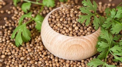 Coriander Seeds In Hindi