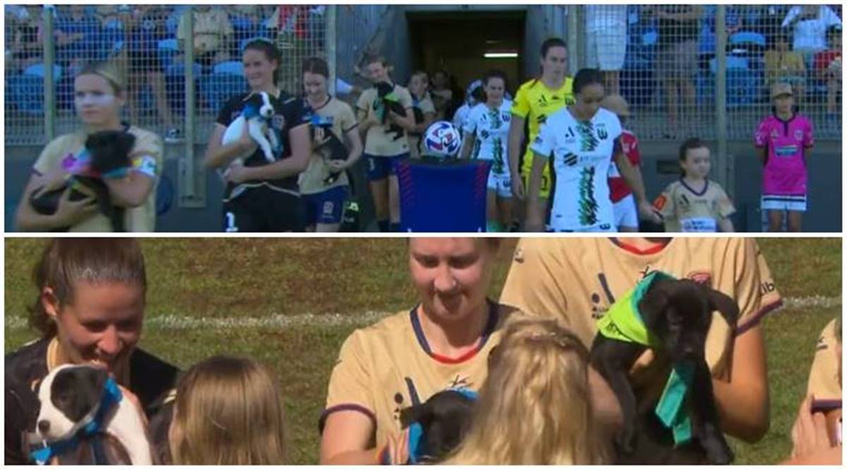 Watch: Women footballers walk out with puppies to raise awareness about ...