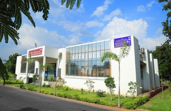 Cookies, biryani, beer: IIMR Hyderabad pioneering research to make ...