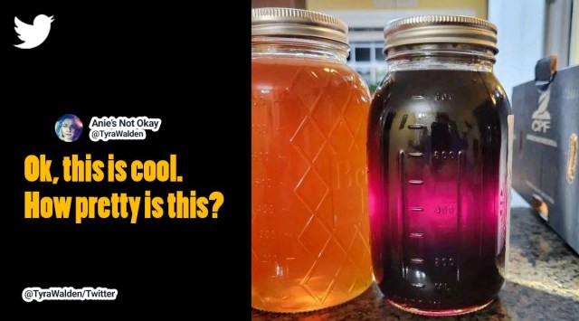 This photo of ‘purple honey’ is going viral. Find out how it is made ...