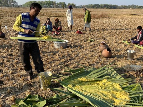 In rapidly changing times, Santals in West Bengal rethink how to ...