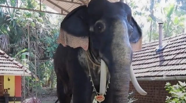 In a first, Kerala temple deploys life-size ‘robotic elephant’ for ...