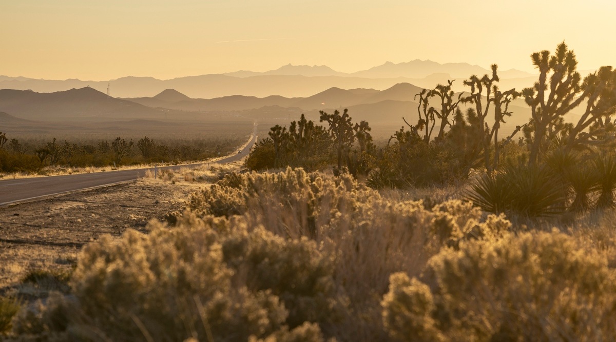 Joe Biden creates two national monuments in Nevada's Spirit Mountain ...